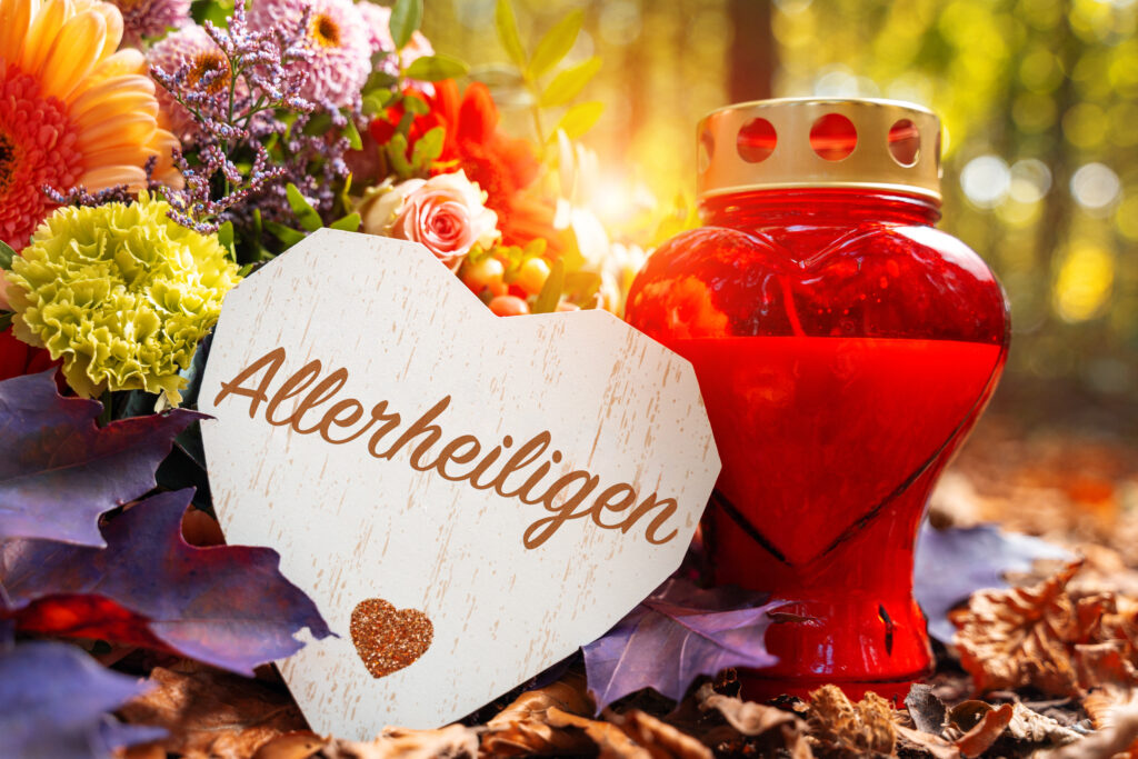 Schne Allerheiligen Feiertag Niederlande Bild