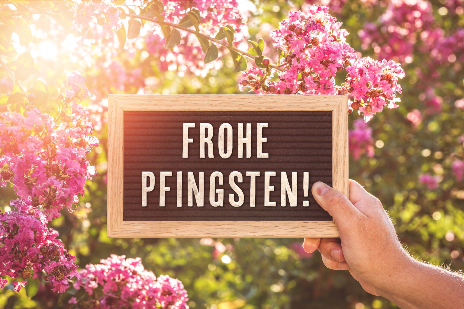 Pfingsten Bilder • Bihlmayer-MEDIA