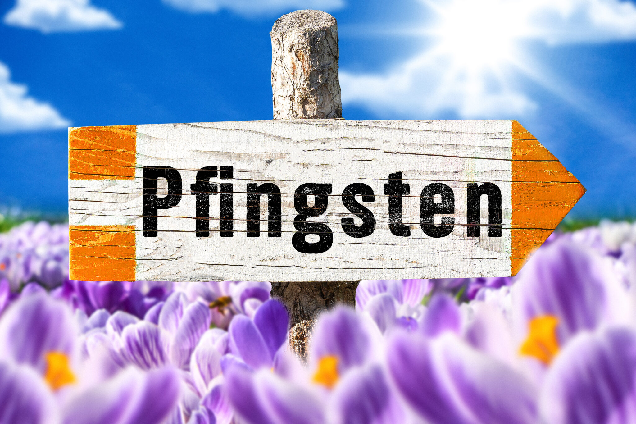 Pfingsten Bilder • Bihlmayer-MEDIA